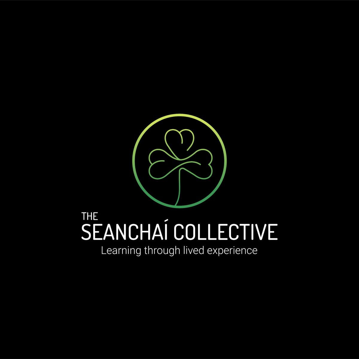 Home [www.seanchaicollective.org]